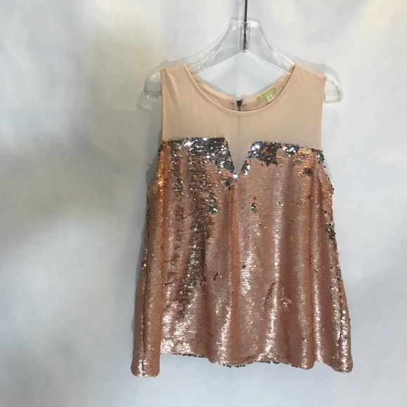 Gianni Bini | Tops | Nwt Gianni Bini Chiffon And Sequin Swing Top ...